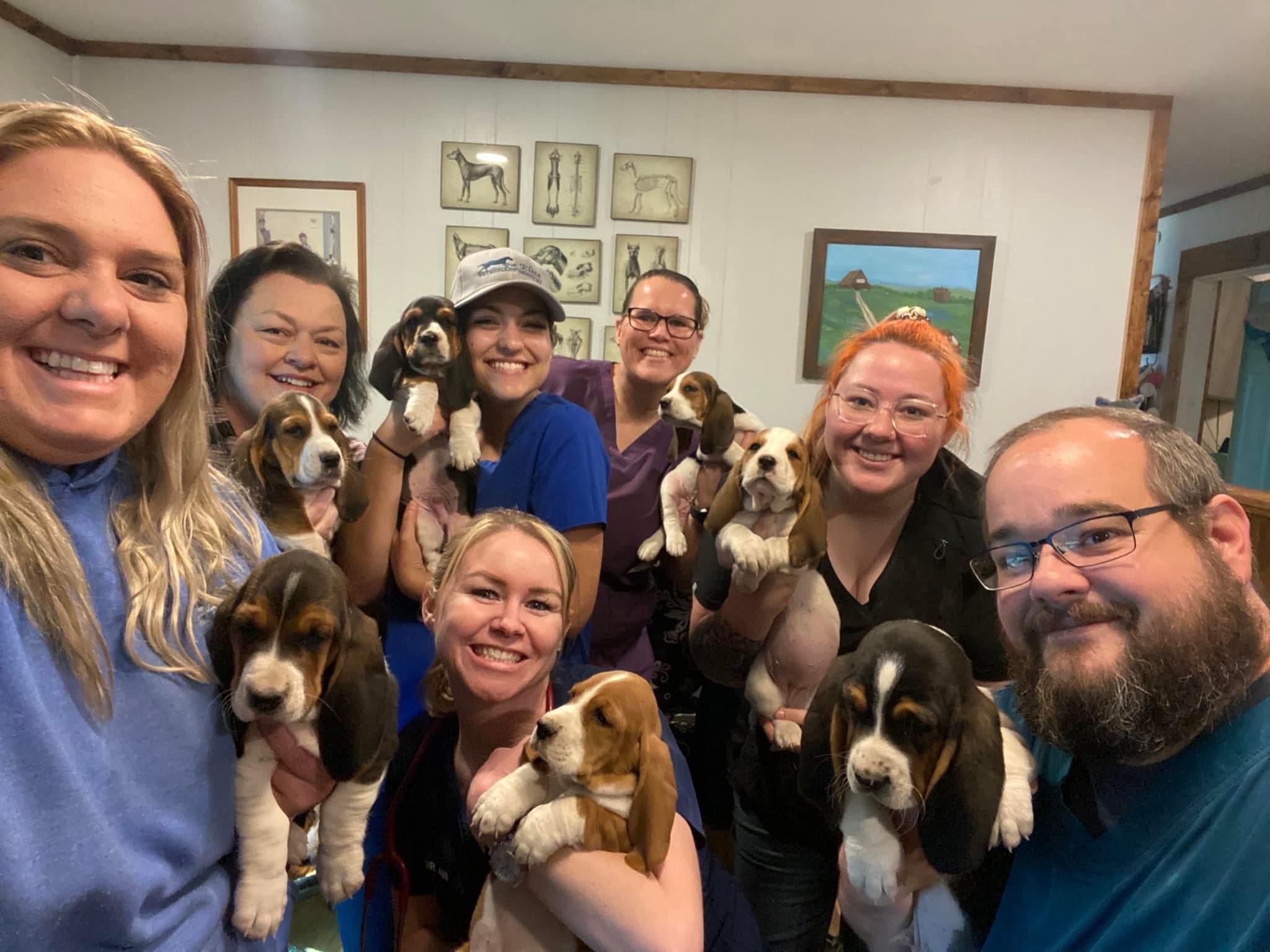 Our Team | Elite Vet